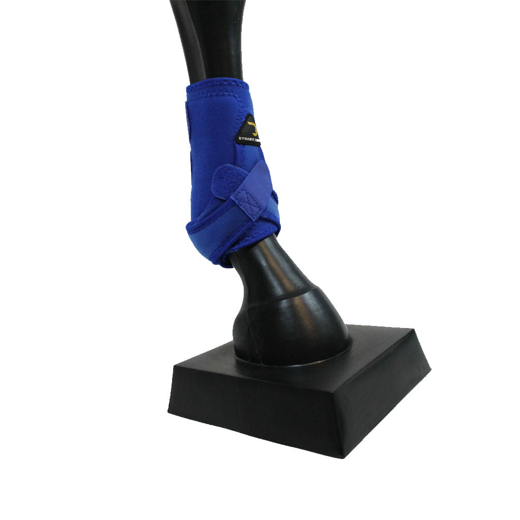 Protectores Dynamic Edge pata Royal – CACTUS ROPES MEXICO